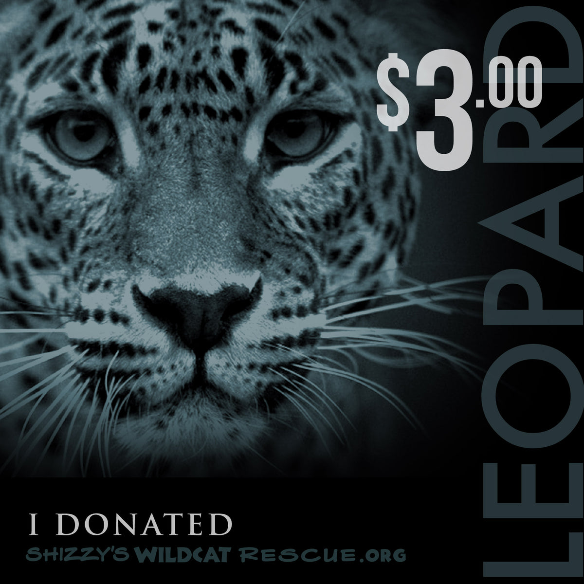$3 Donation: LEOPARD – Shizzys Wildcat Rescue